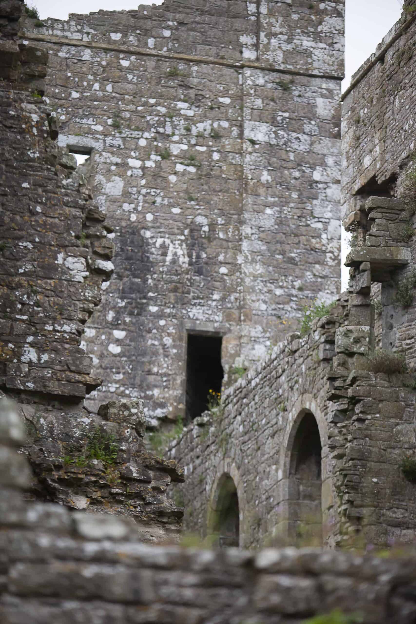 Bolton Castle in Wensleydale, family days out, falconry and weddings
